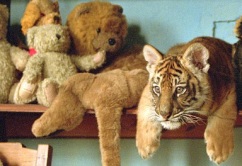 AboutFilm.com - Two Brothers (2004)